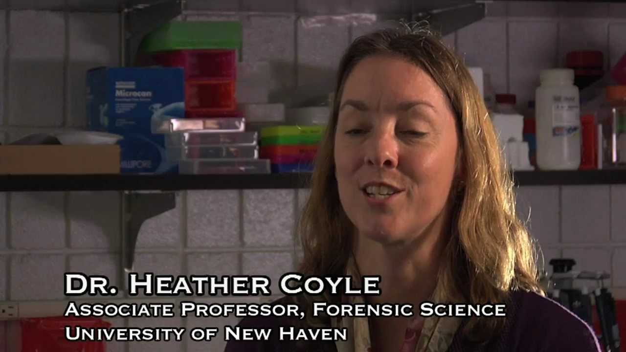 Professor Creates Marijuana DNA Database at University of New Haven ...